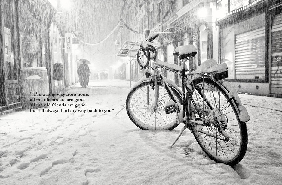 Thanksgiving Day | Susan Buchanan