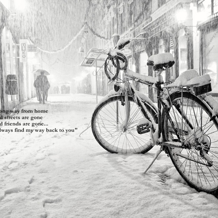 Thanksgiving Day | Susan Buchanan