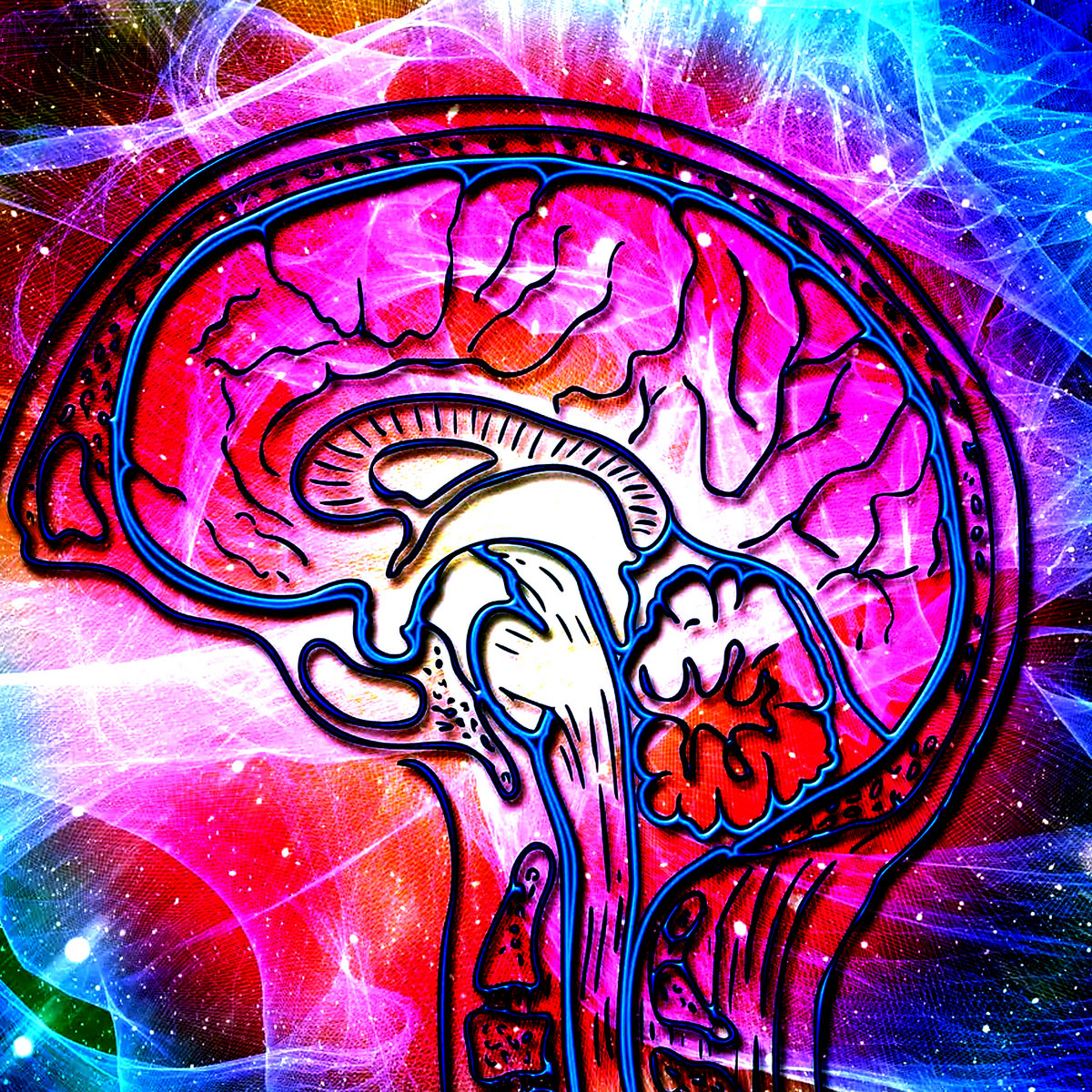 NEVER LEAVE YOUR BRAIN ALONE | RAY COYLE