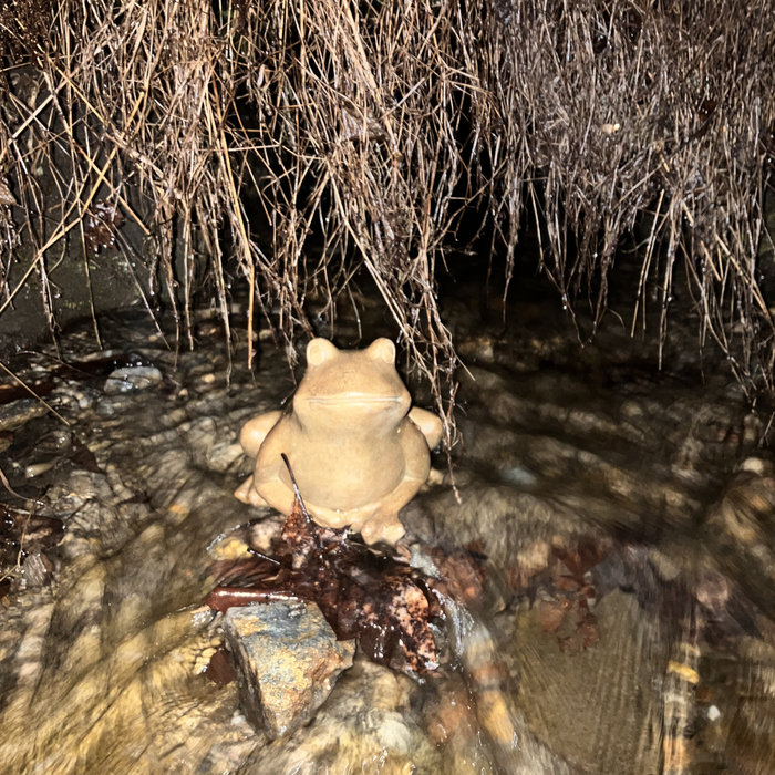 wizard casts a spell | Bobby Crocker