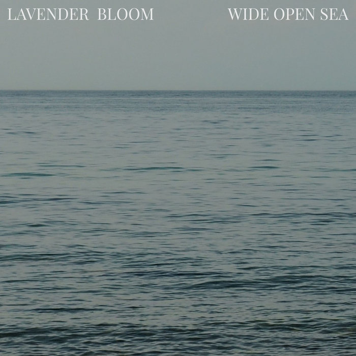 Wide Open Sea | Lavender Bloom