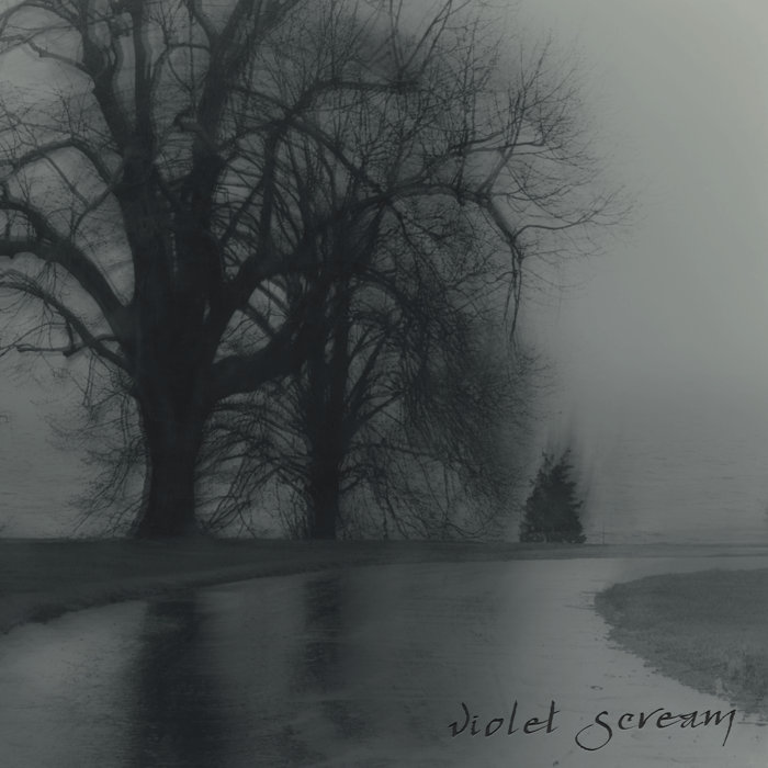 leaves fall | violet scream