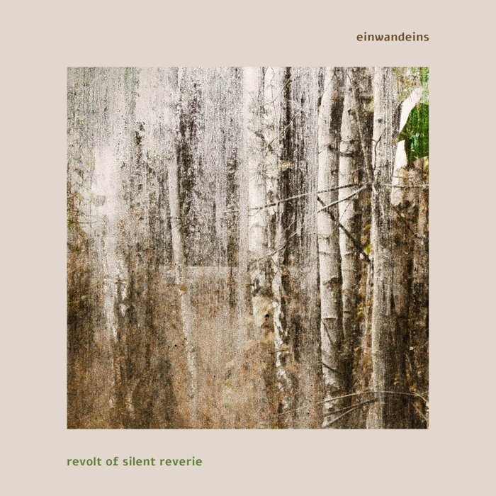 Revolt of Silent Reverie | einwandeins