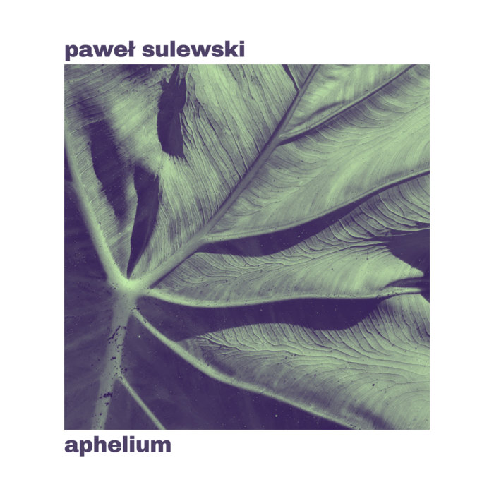 Aphelium | Paweł Sulewski | Opus Elefantum