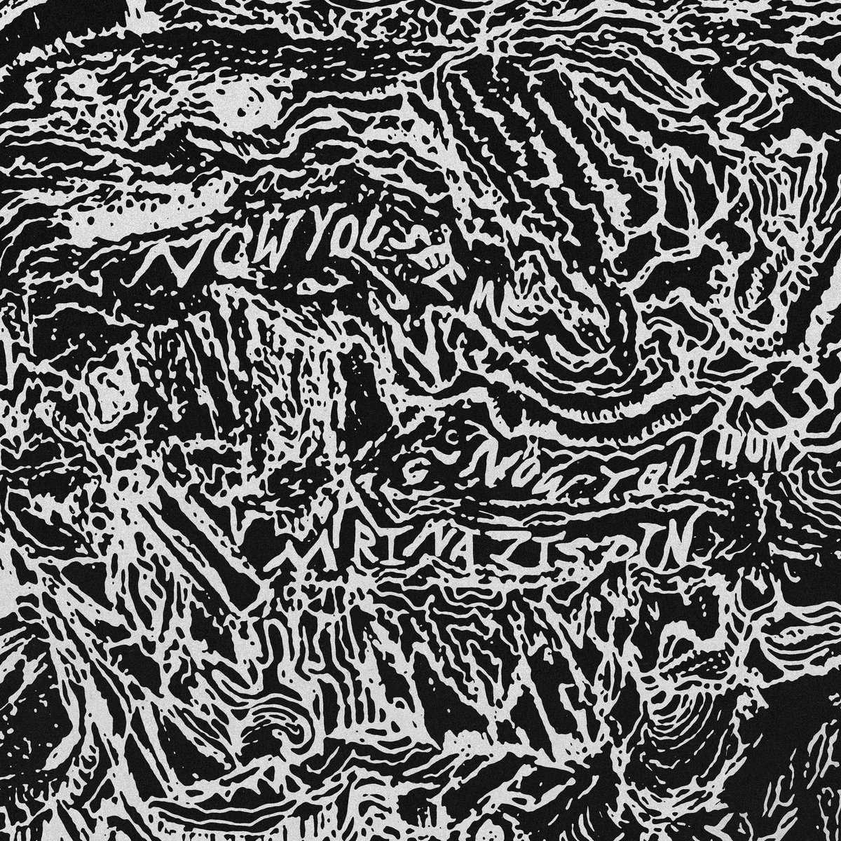 Now You See Me, Now You Don't | Marina Zispin | Scenic Route