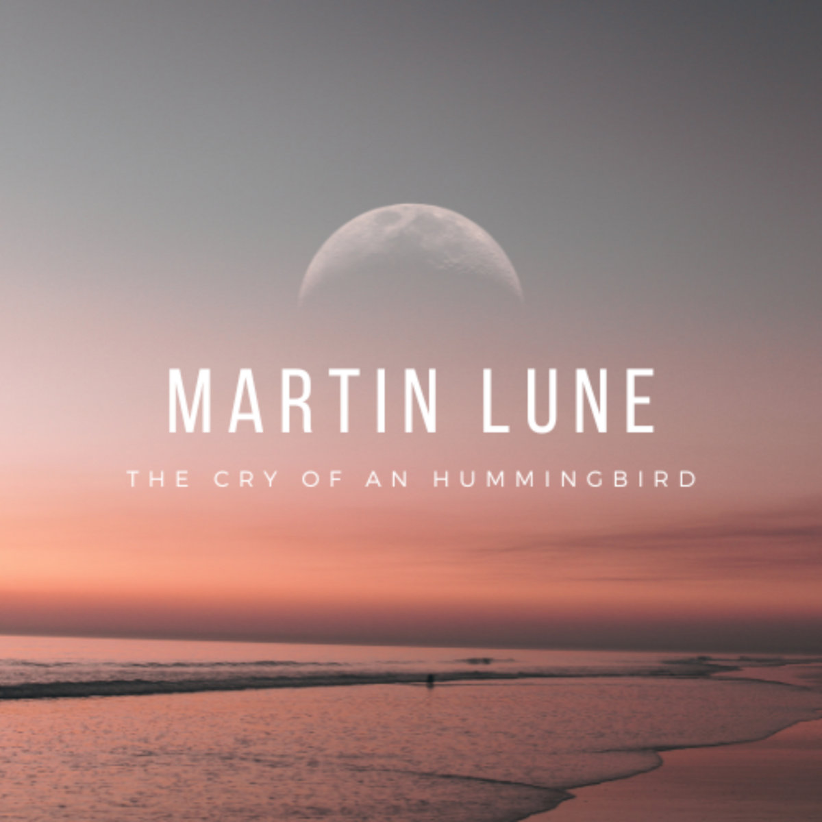 The Cry Of An Hummingbird | Martin Lune