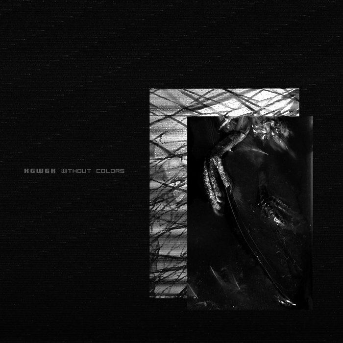 Without Colors | kgwgk | M4NM