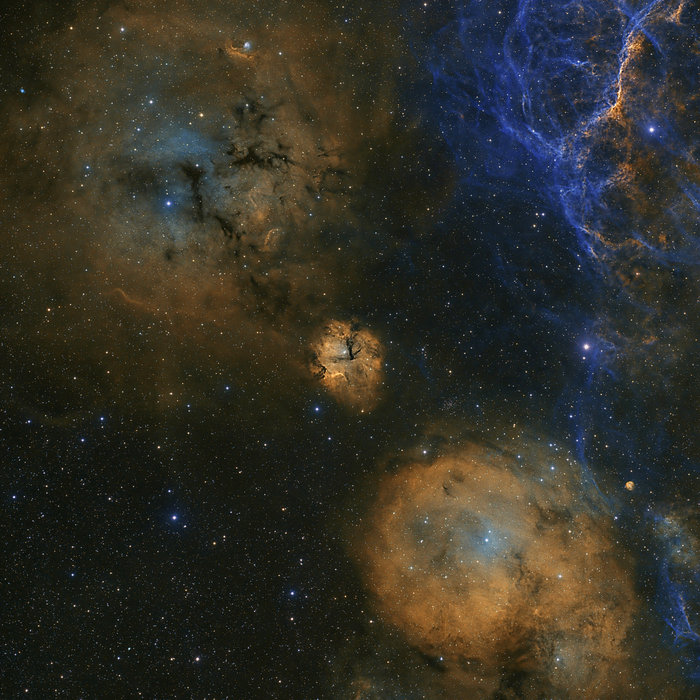 Mutable Minds VI | Lidvall, Gresil, Vertebral, Playmo | MindTrip