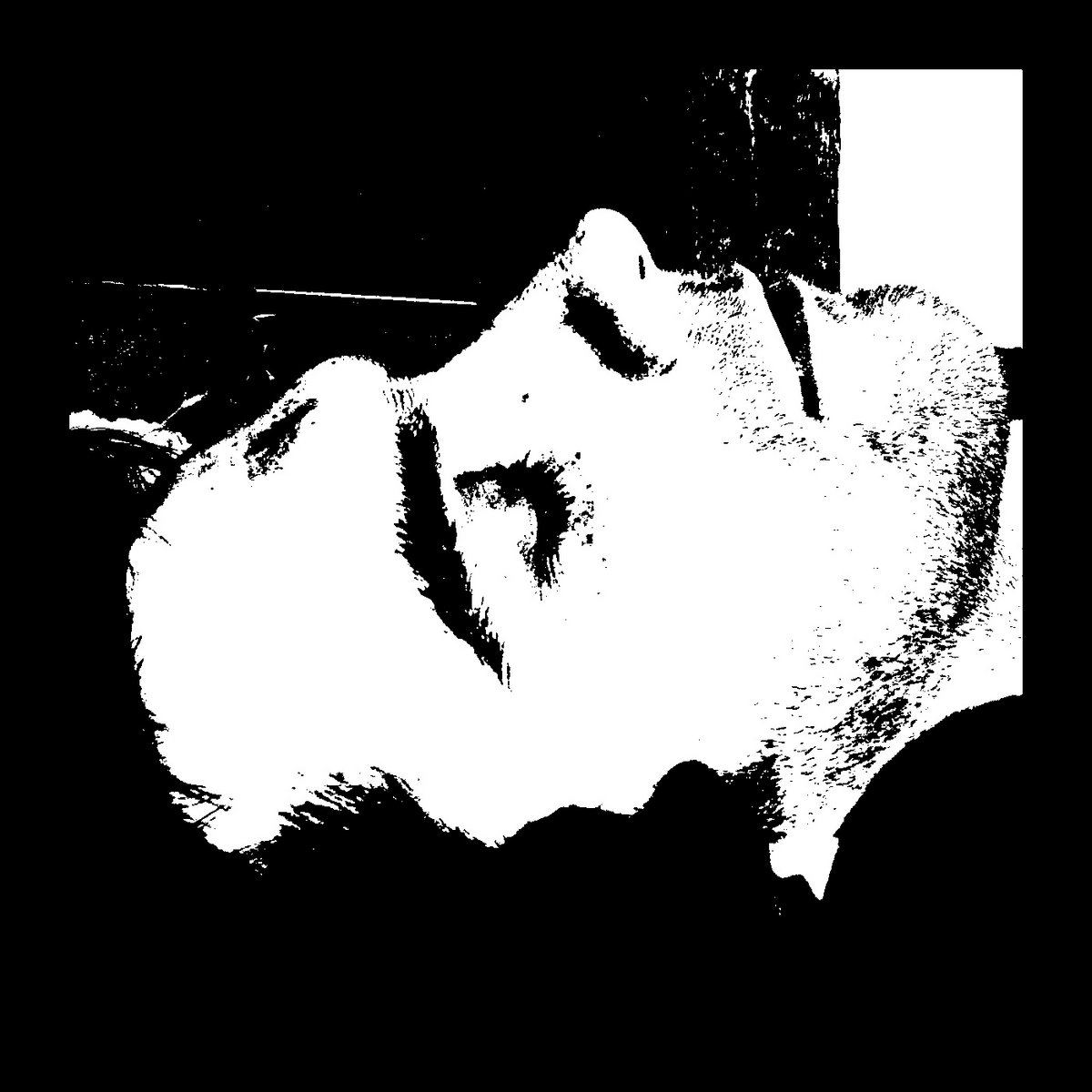 Cash in Hand | Robert Cann