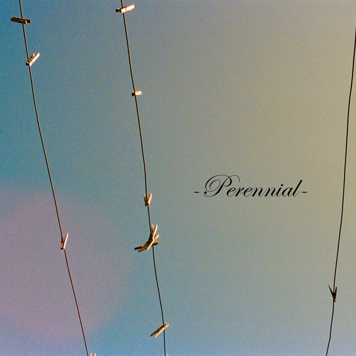 Perennial: Filmtrack | Alexander James MacAlpine