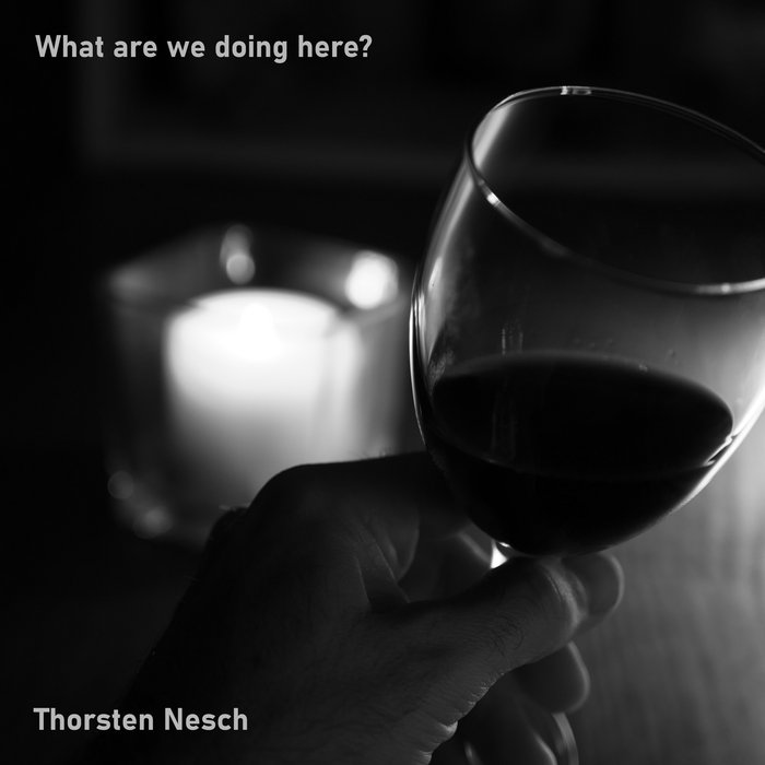 What are we doing here | Thorsten Nesch