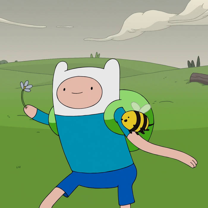 Finn The Human Without Arm