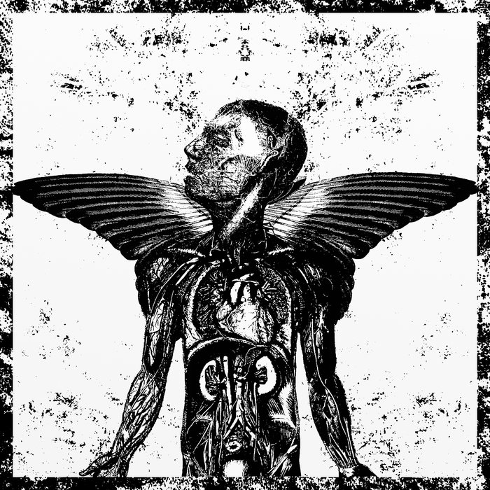 Burnt Angel | Thaniel Ion Lee