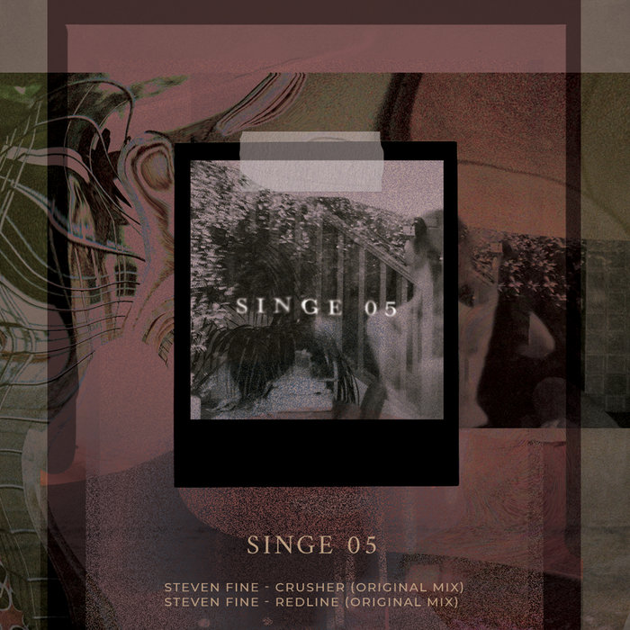 Singe 05 | Steven Fine / Stevin