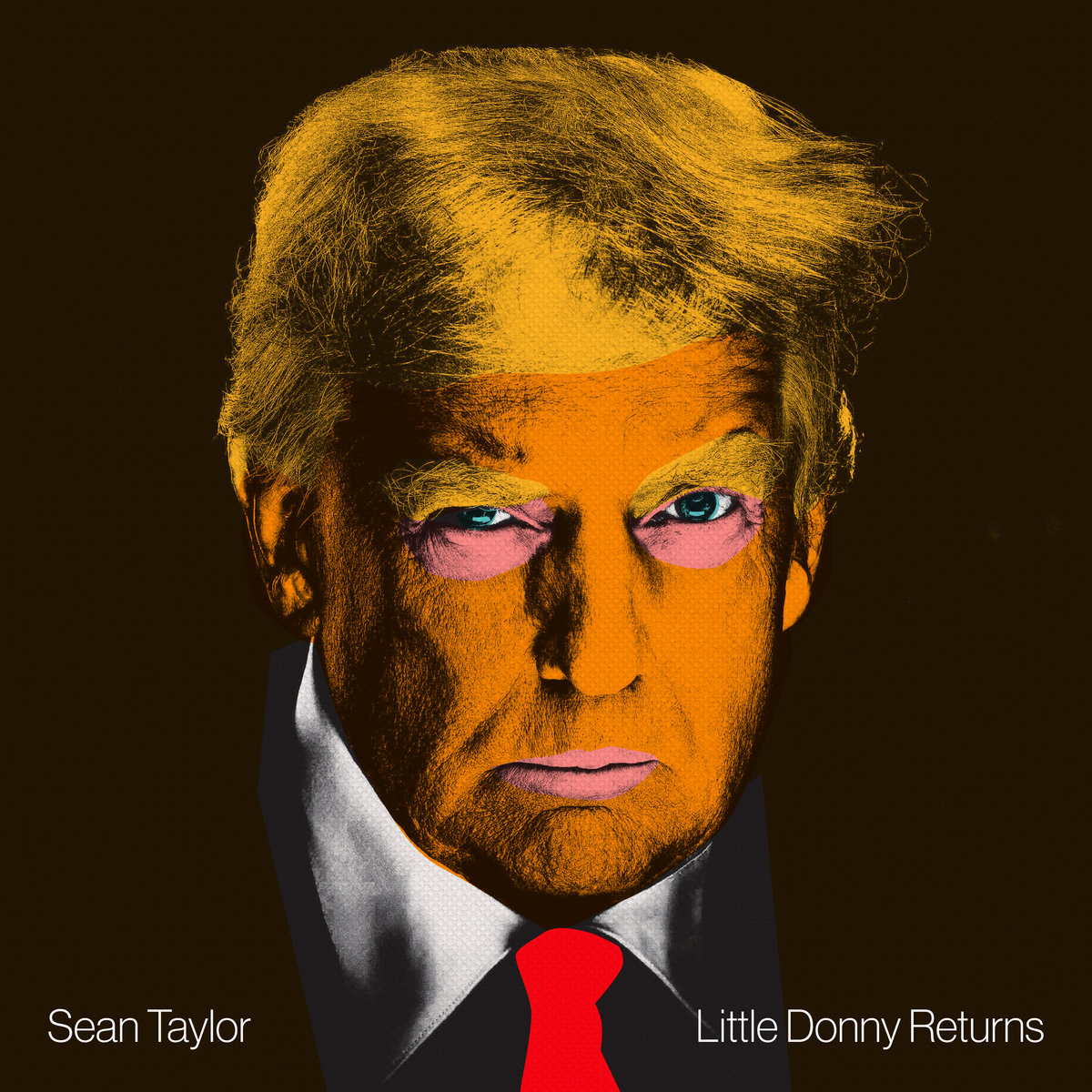 Little Donny Returns | Sean Taylor