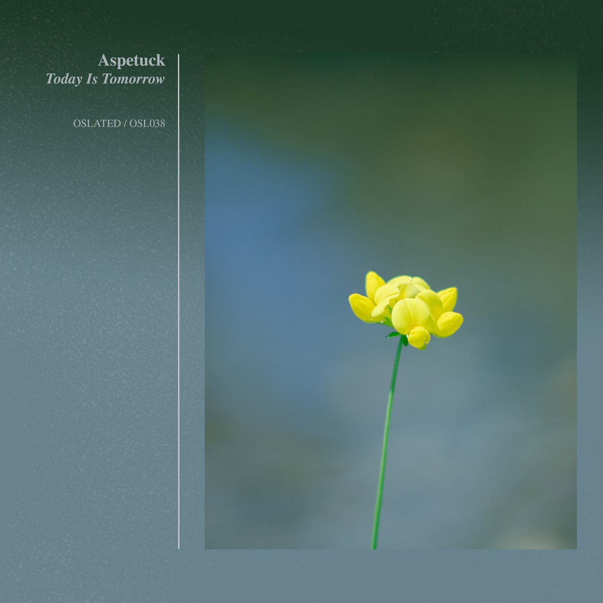Today Is Tomorrow [OSL038] | Aspetuck
