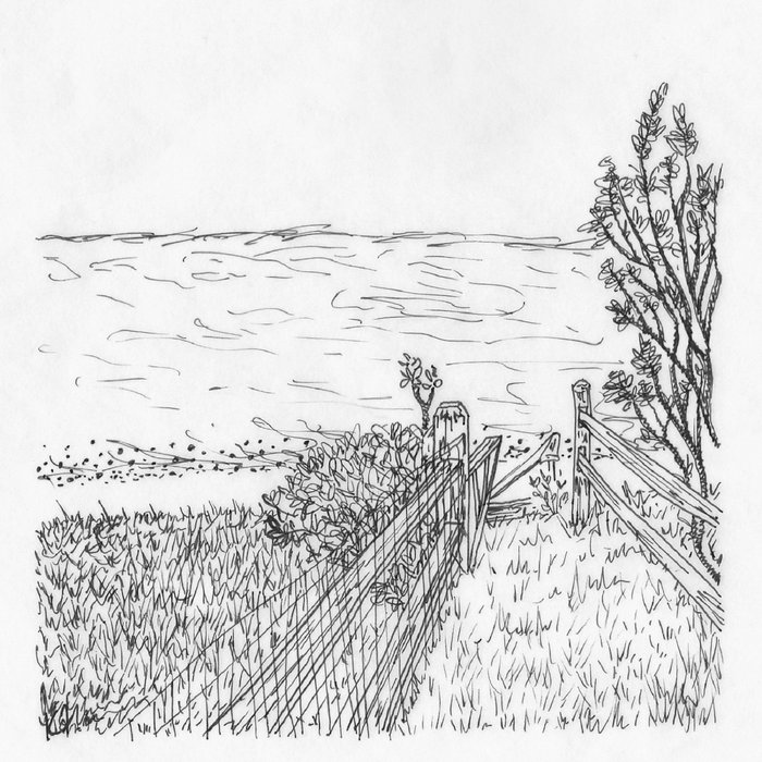 Anne O'Rourke | Anne O'Rourke