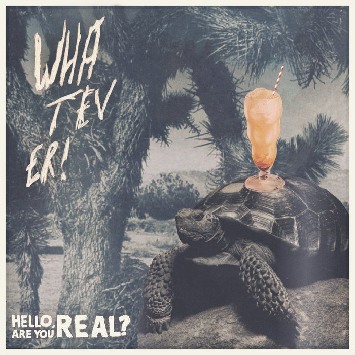 Hello, Are You Real? | Whatever!