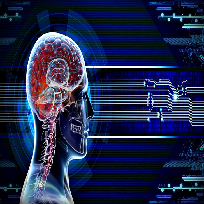 33Hz 999Hz Brain Synchronizer Music Pineal Gland Activation & 8D ...