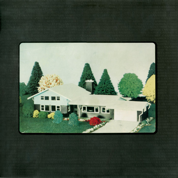 Life Like Homes | Thee Speaking Canaries