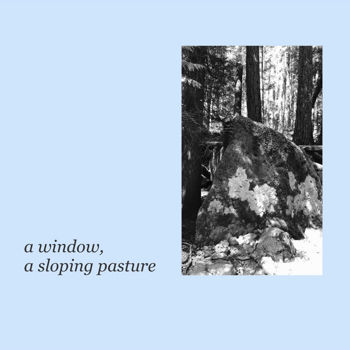 a window, a sloping pasture | clemhepburn