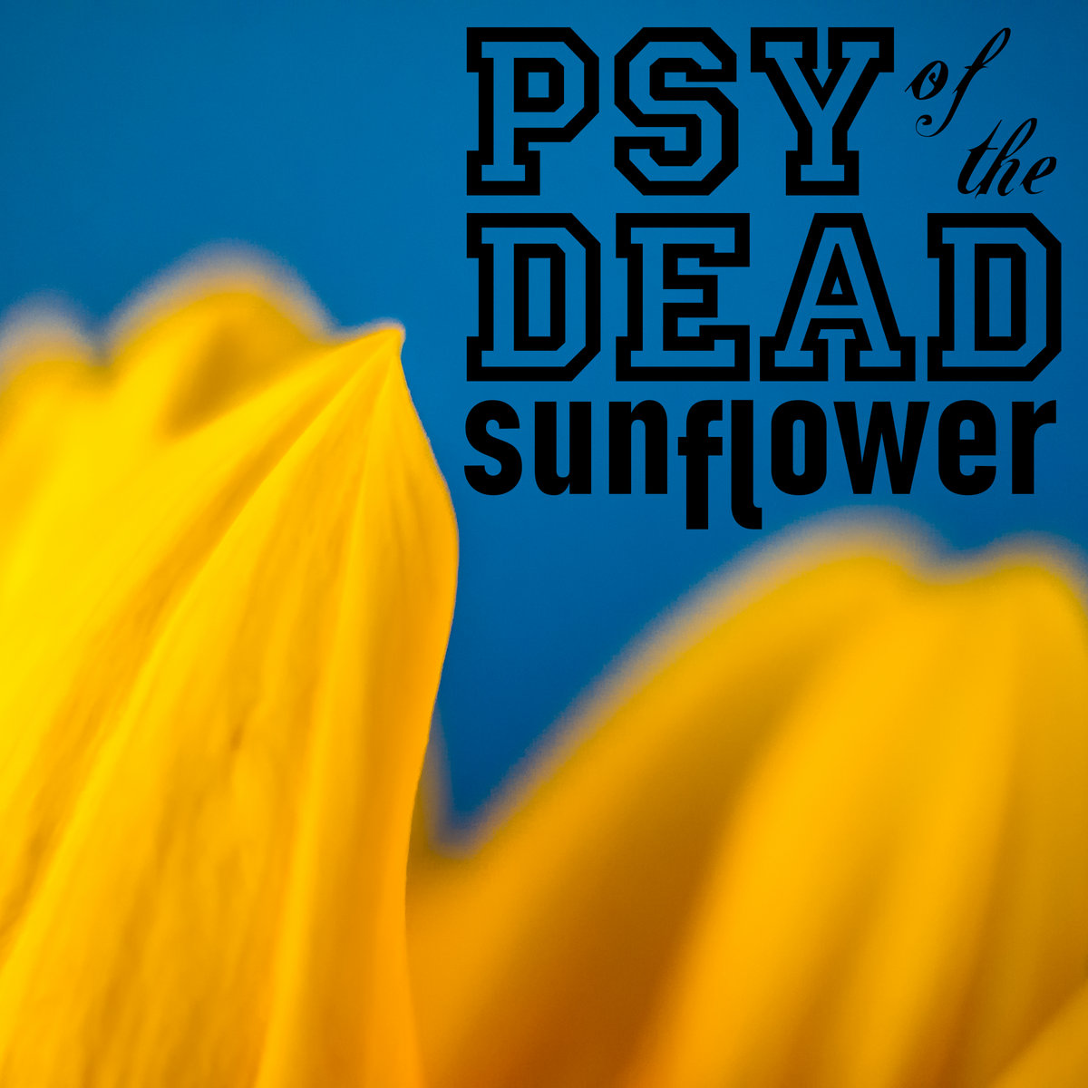 Sunflower | Psy of the Dead