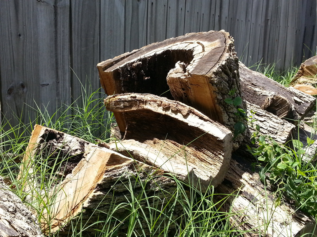 You Won't Know | Mike Braudrick