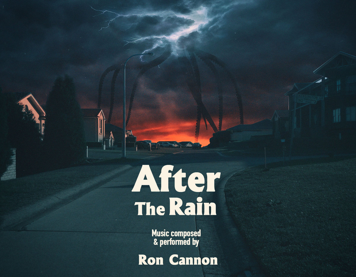 After The Rain | Ron Cannon