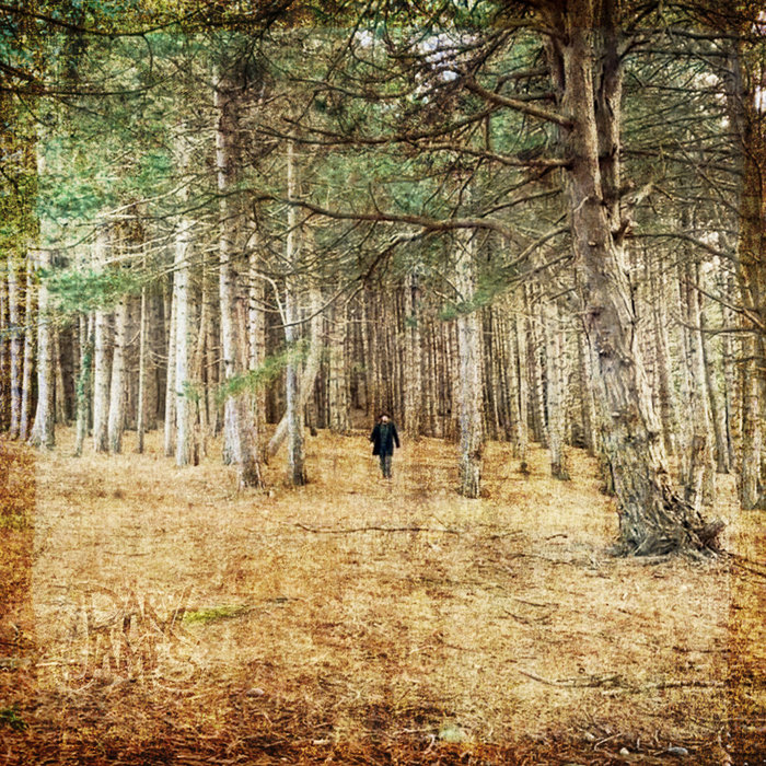 Out Of | Daryl James