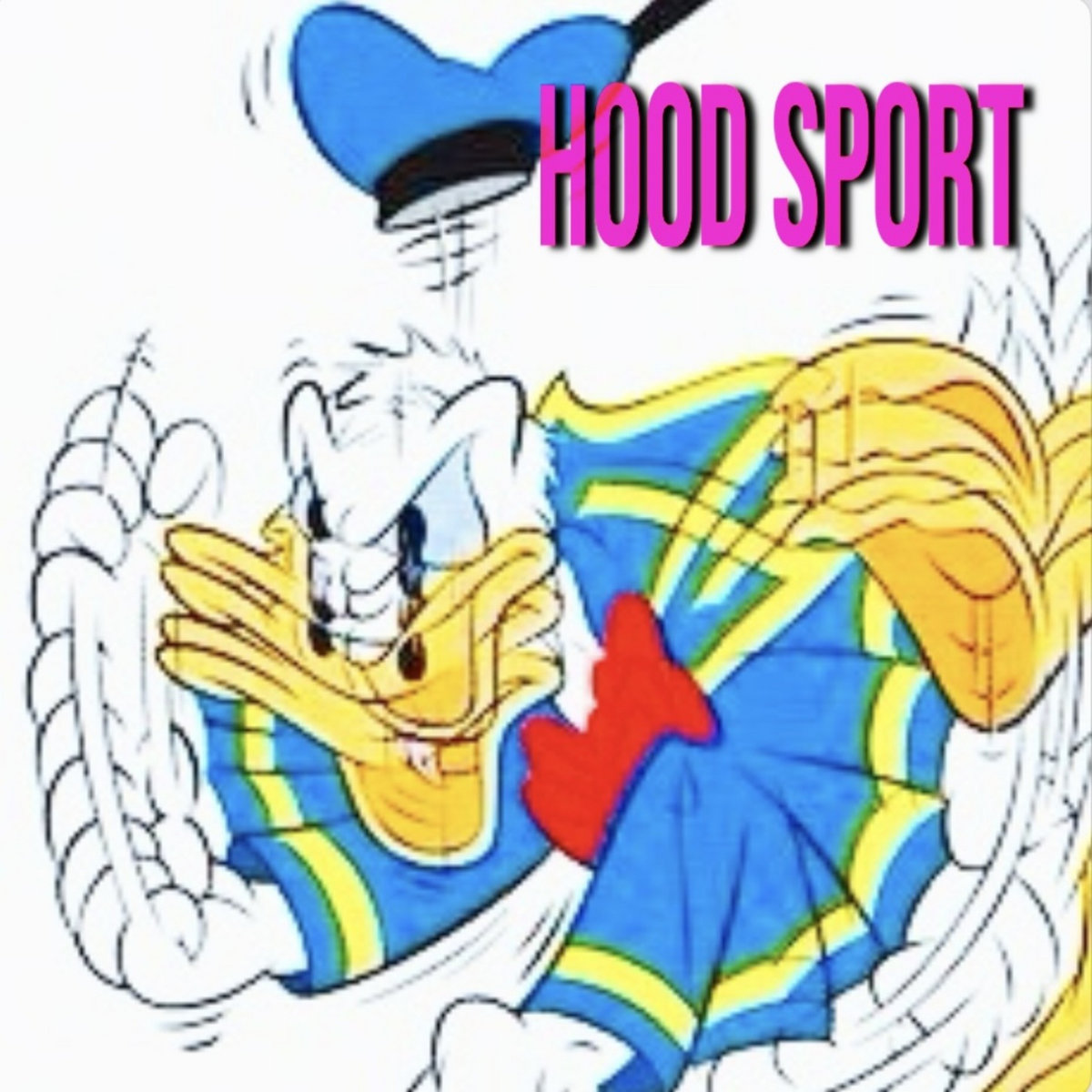 GUNMETAL | I PLAY SPORTS WELL ( TEFLON AIR ) | HOOD SPORT