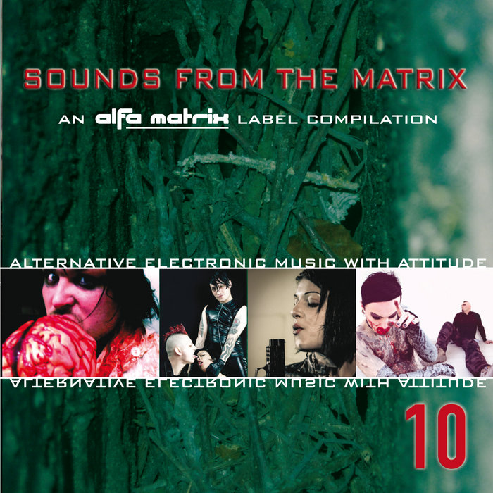 Sounds From The Matrix 010 | VARIOUS ARTISTS | Alfa Matrix