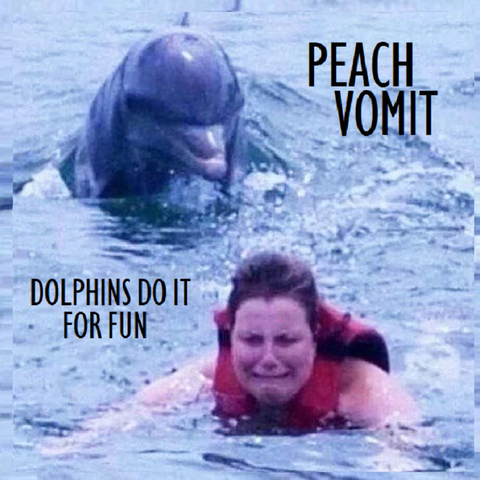 Dolphins Do It For Fun | Peach Vomit