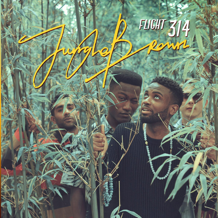 Flight 314 | Jungle Brown
