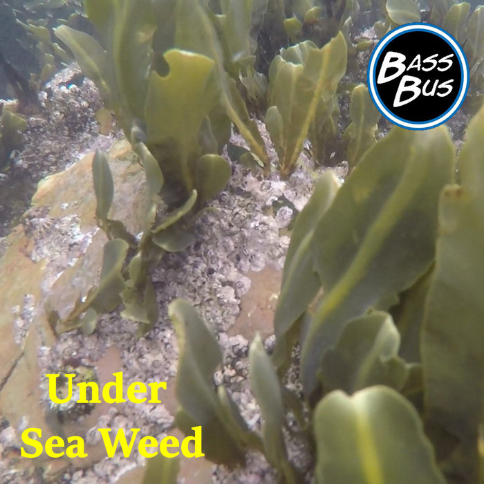 Under Sea Weed | BassBus