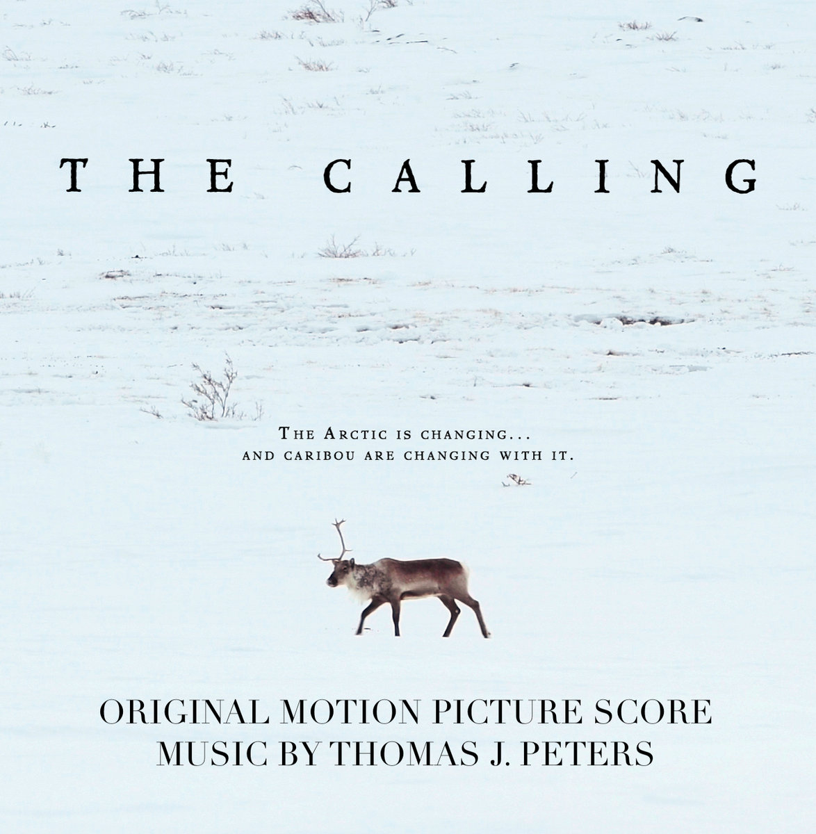 The Calling Original Motion Picture Score | Thomas J. Peters