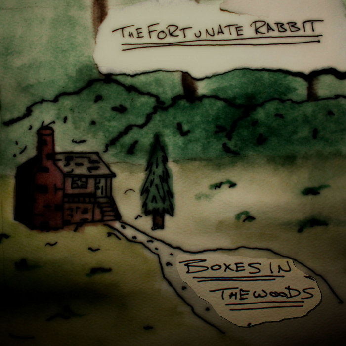 Boxes In The Woods | The Fortunate Rabbit