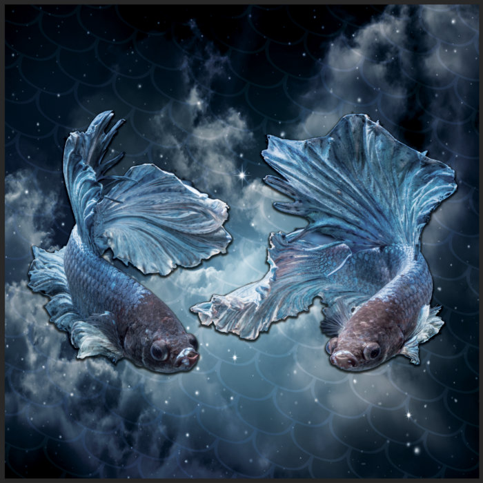 Musiquarium Volume Two | Gamble Cosmos