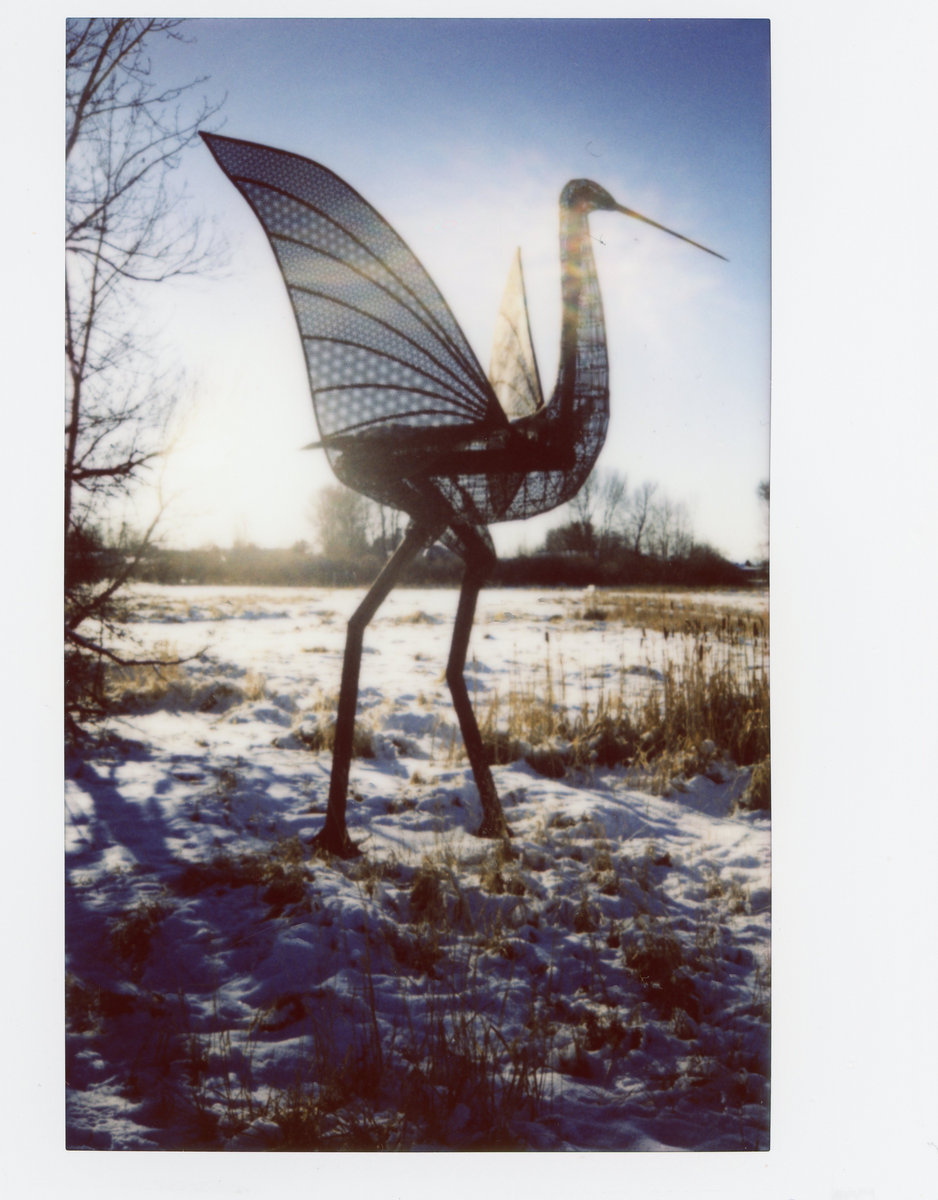 Jailbird | iamthekobold.
