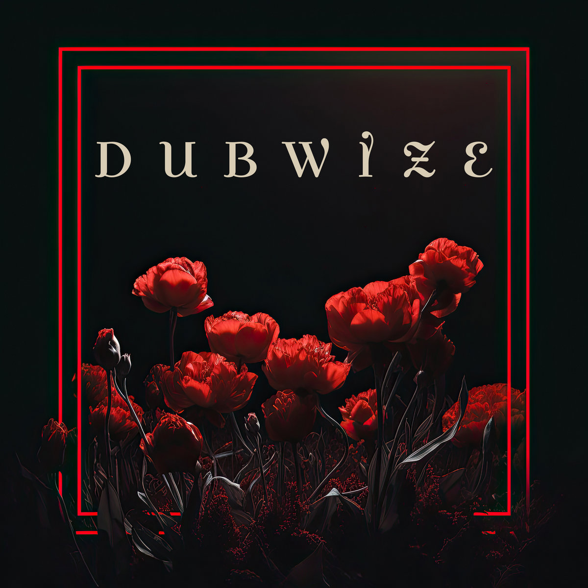 Dubwize | Magniz