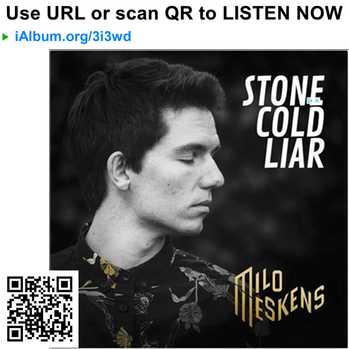 Stone Cold Liar | Milo Meskens