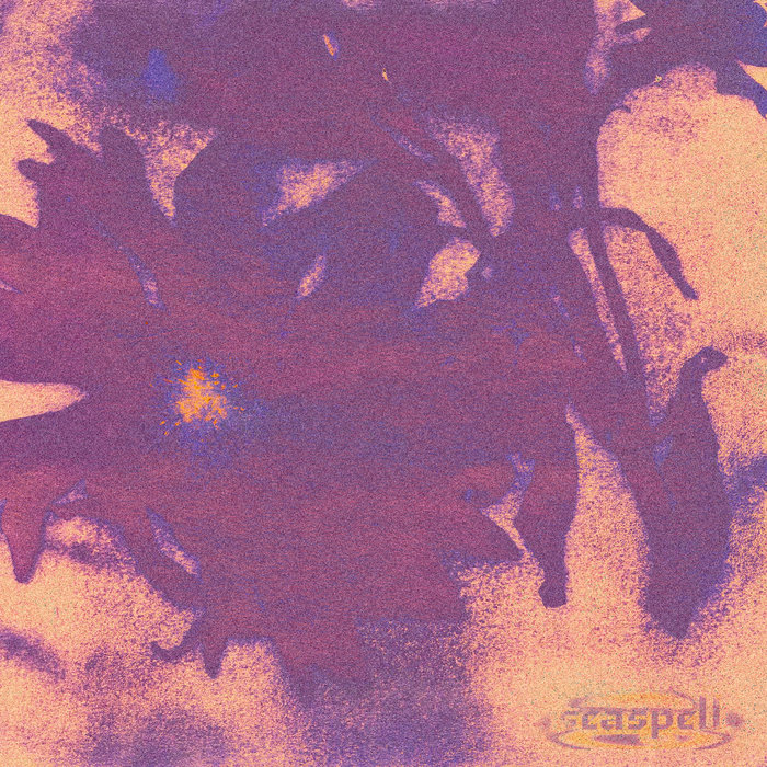 Our Song is Young | Seaspell