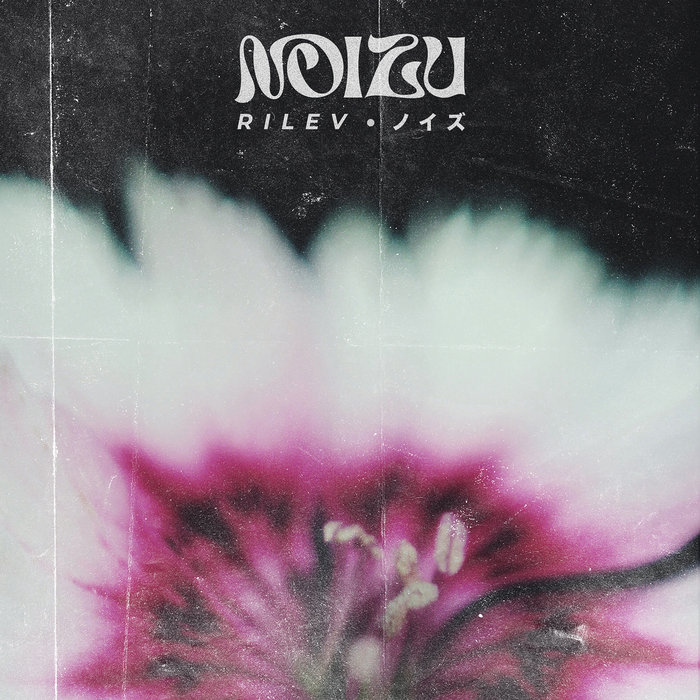 NOIZU ノイズ | Rilev