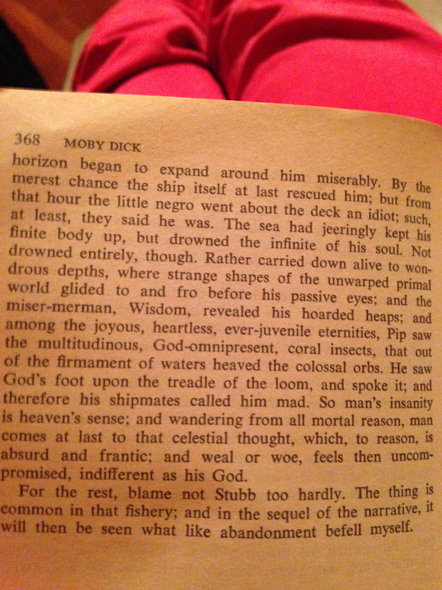 Whale | Michael flake