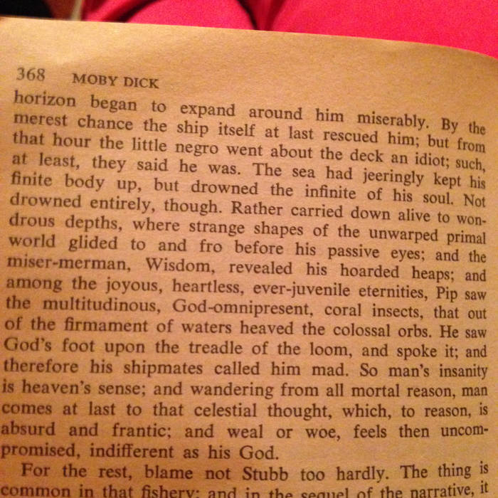 Whale | Michael flake