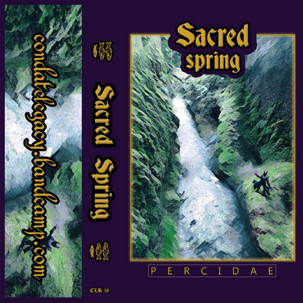 SACRED SPRING | PERCIDAE | Percidae