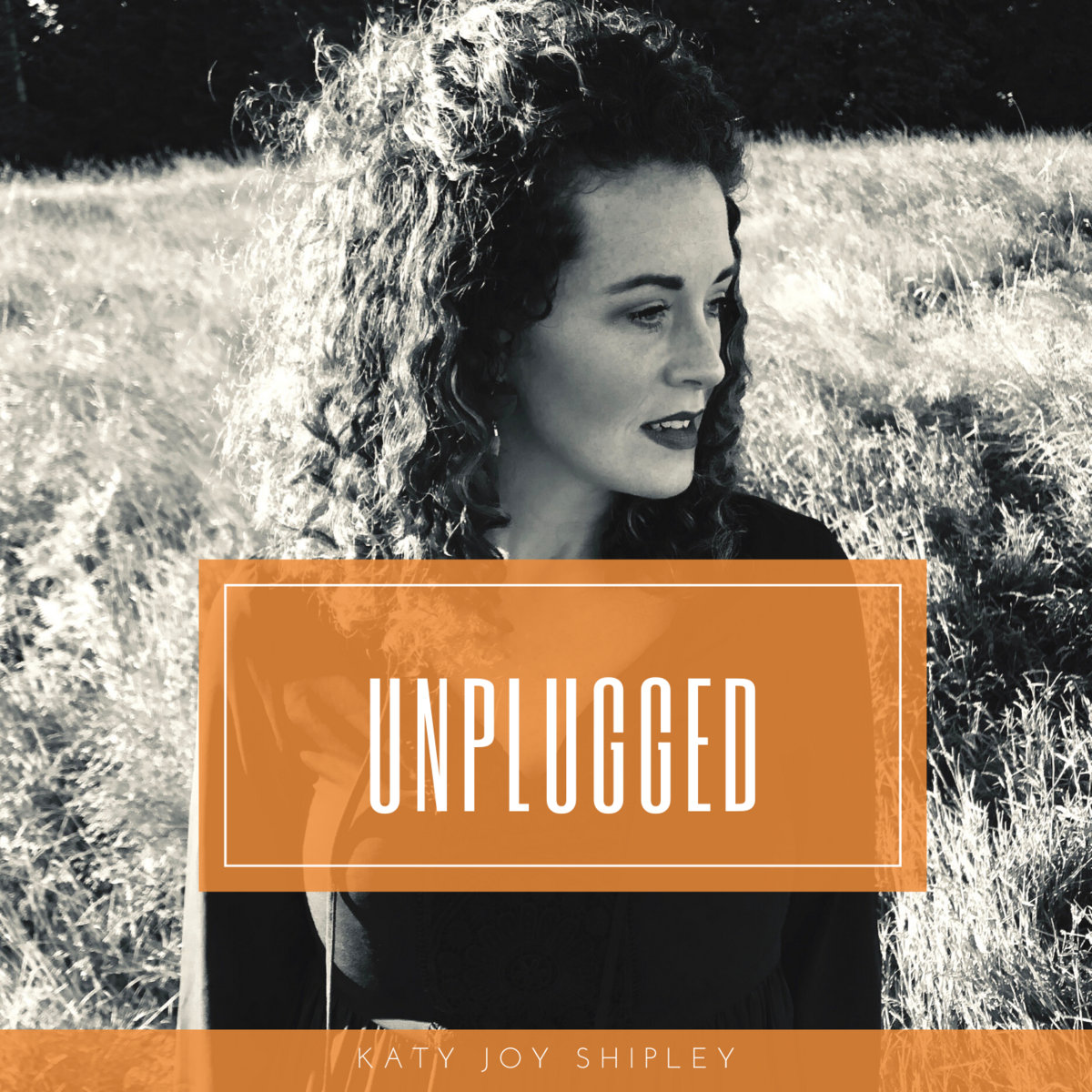 Unplugged | Katy Joy Shipley