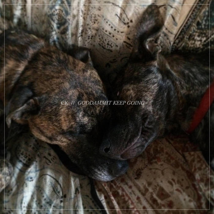 gregflatt's collection | Bandcamp