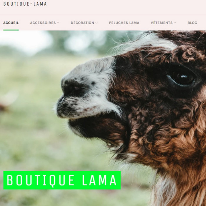 Lama Sound | boutique-lama | Lama-Boutique
