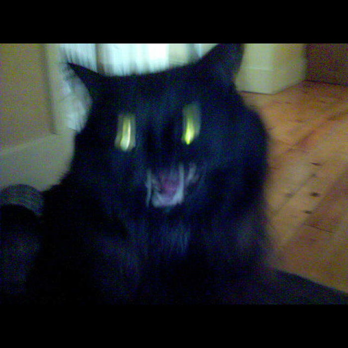 Bug Eyed Monster | Bug Eyed Monster