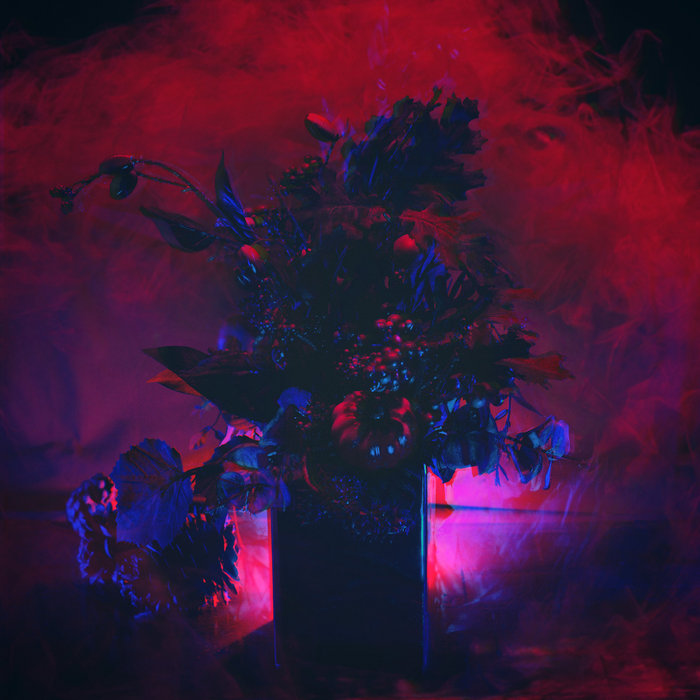 Gleemer ~ Holyland USA | Gleemer | Gold Flake Tapes